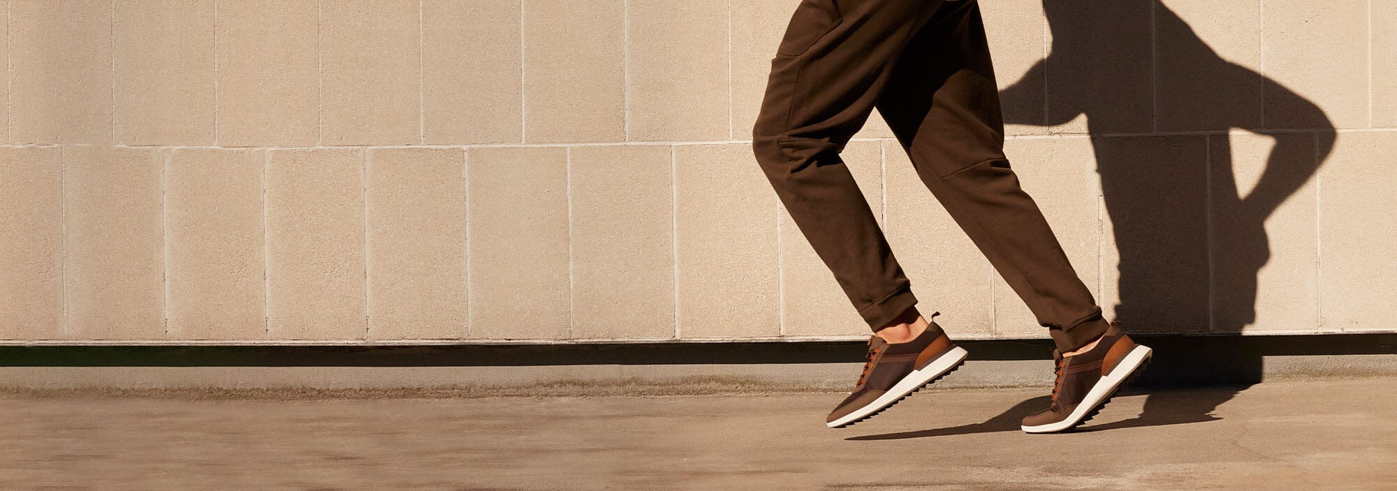 Trainer WTZ – Wolf & Shepherd