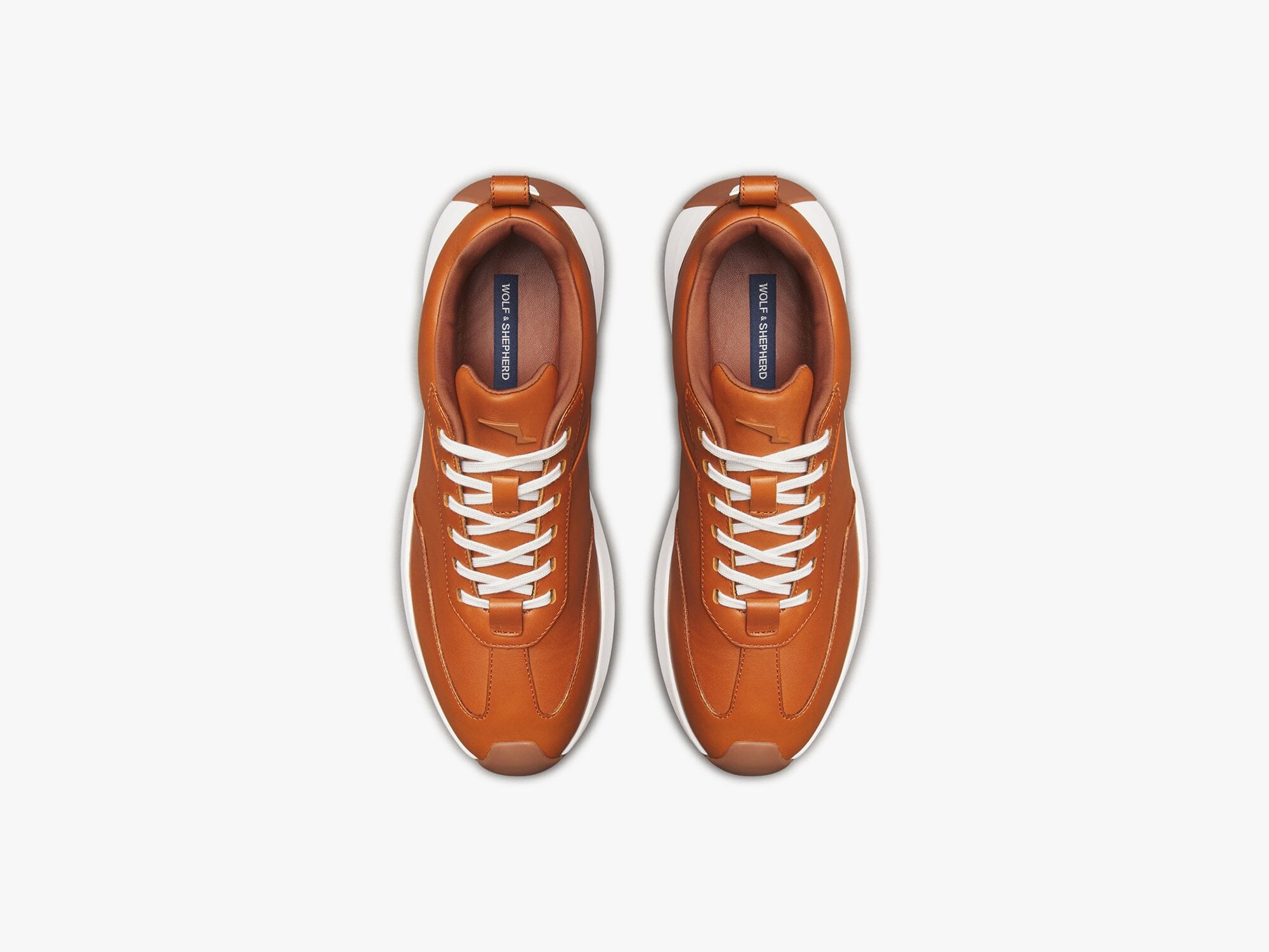 Marathon Court | Women's Sneaker | WOLF & SHEPHERD – Wolf & Shepherd