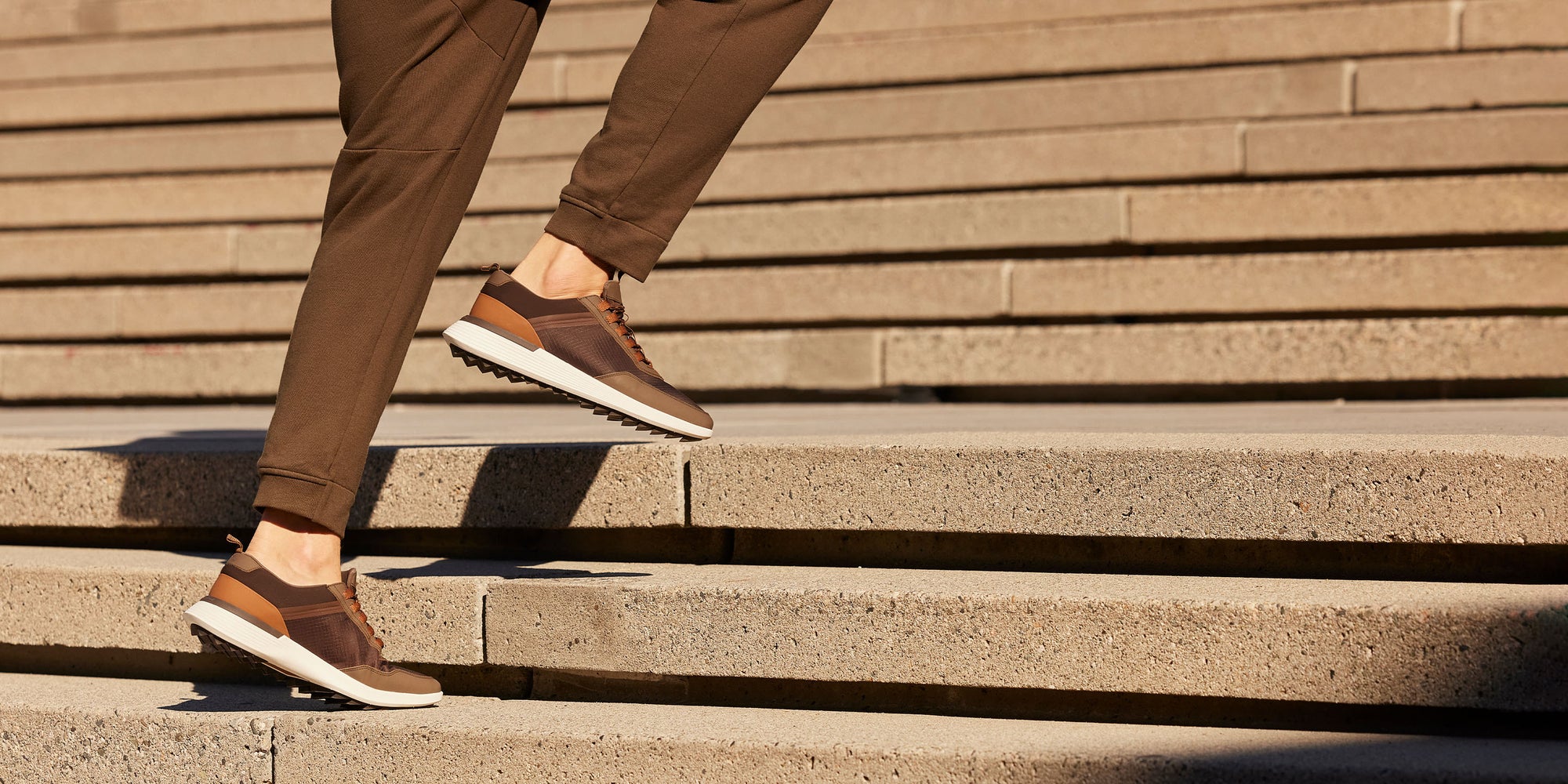 WTZ – Wolf & Shepherd