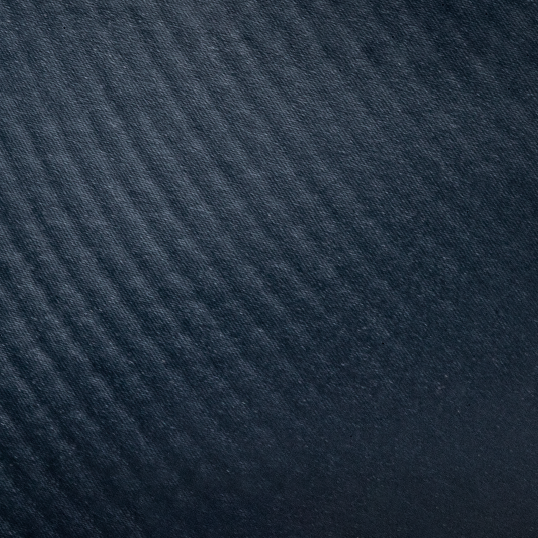 WTZ – Wolf & Shepherd