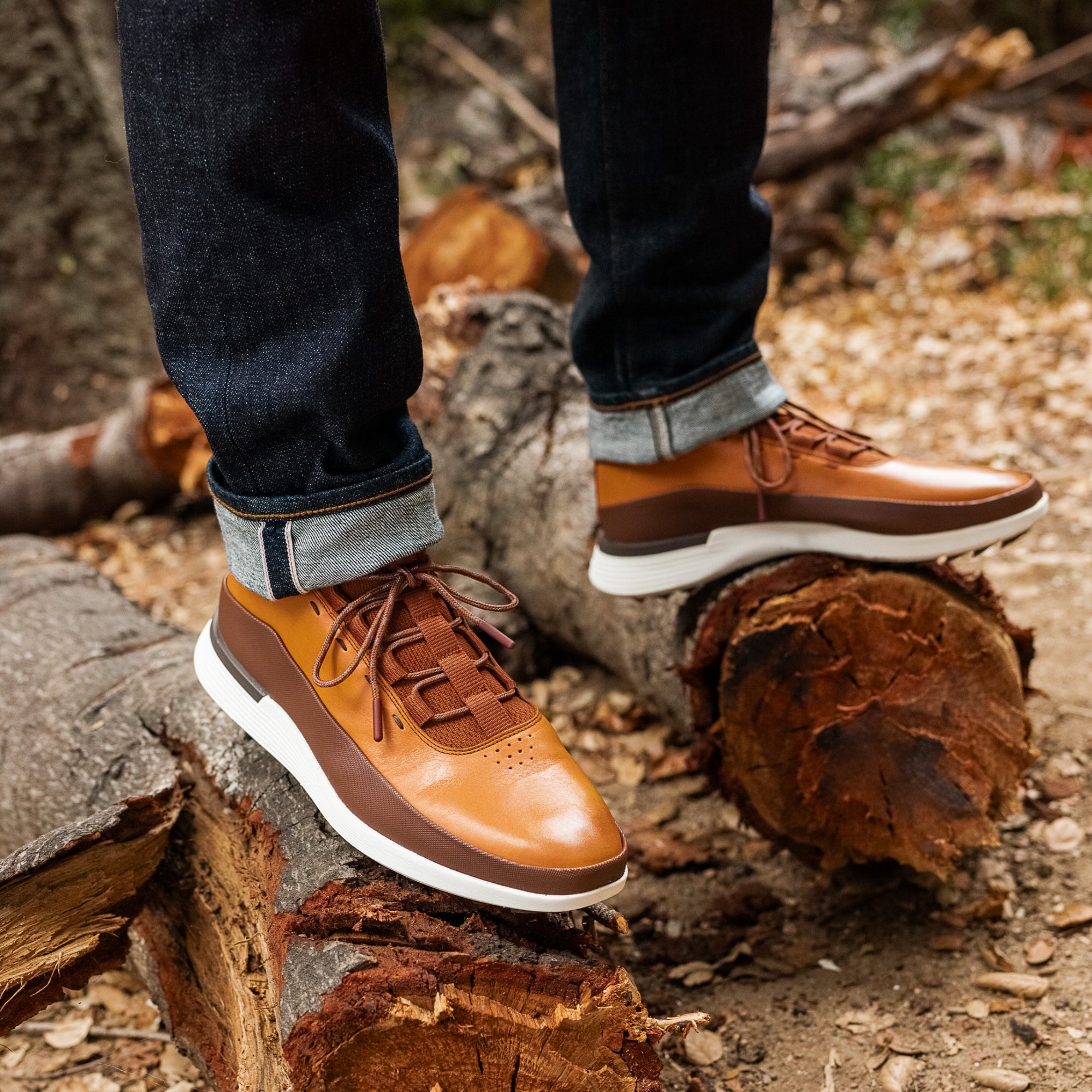 Welcome to Preseason – Wolf & Shepherd