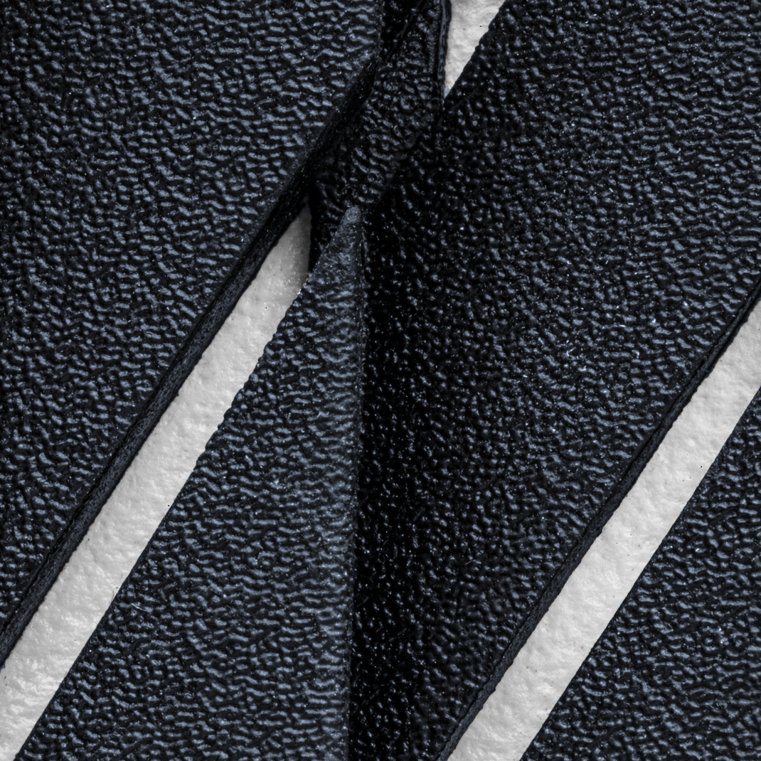 WTZ – Wolf & Shepherd