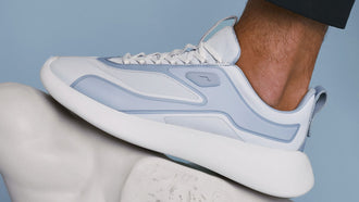 Toro – Wolf & Shepherd